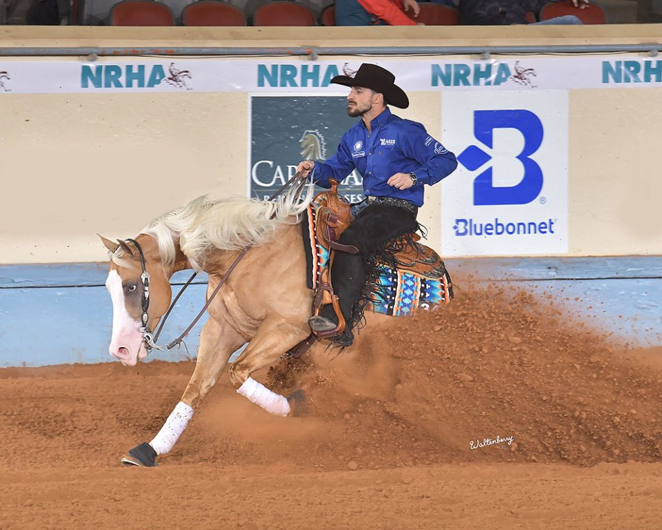 Mirko Midili and Mark My Word Lead the Way to the Semi-Finals – Foals R ...